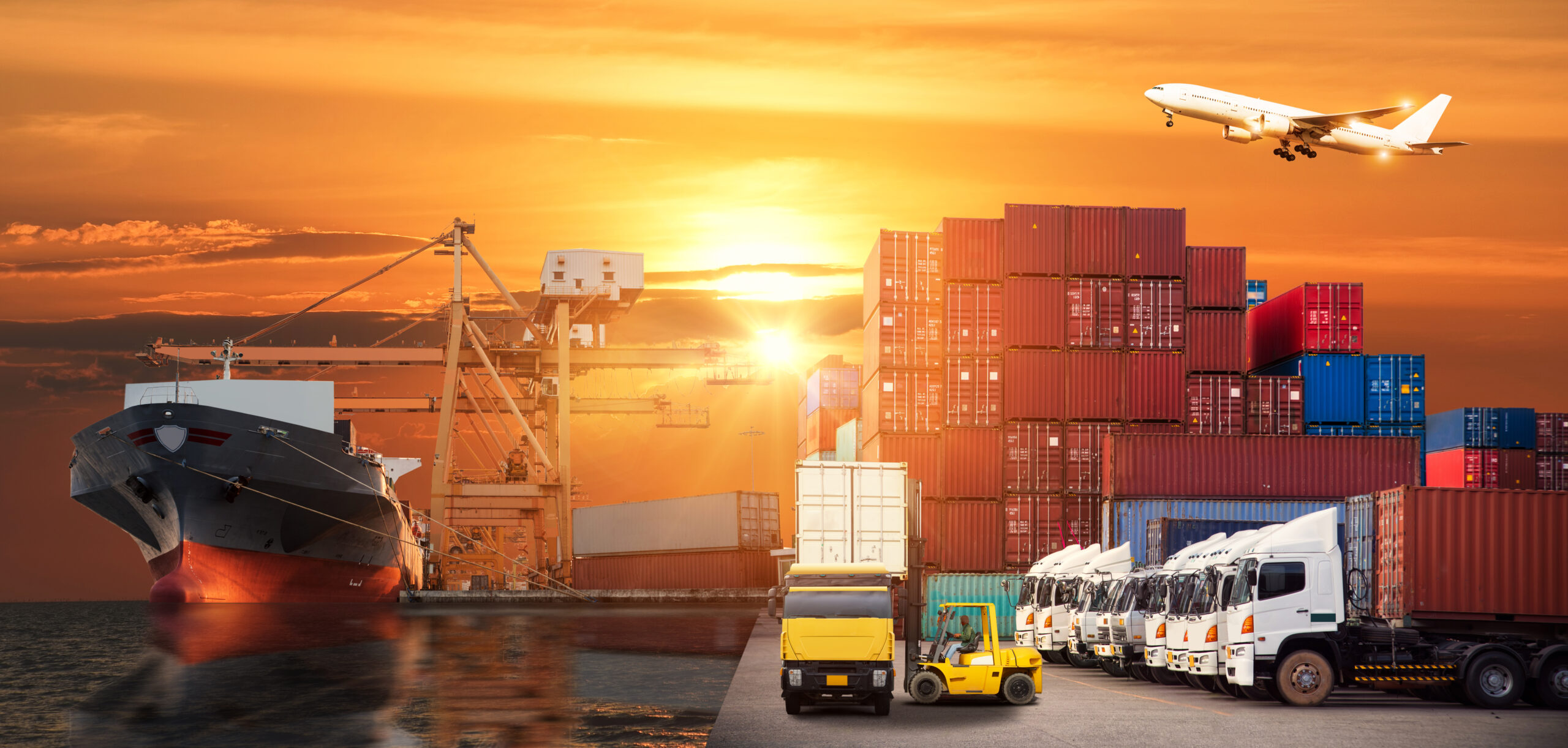 Contact Us - Straightship